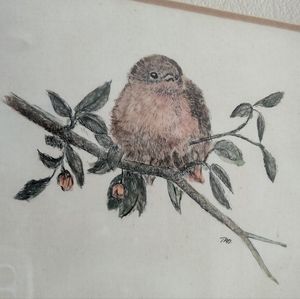 Vintage | Wall Decor | Vintage Artist Signed Framed 4 Bird Collage Wall ...